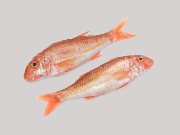 Indian goat fish/ Gulivendalu - Meatonn