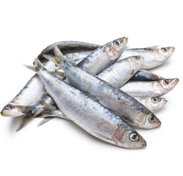 kavalu / Sardines - Meatonn