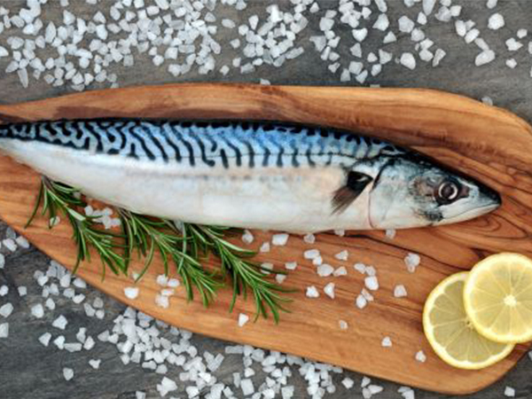 Mackerel (Big Size) - Meatonn